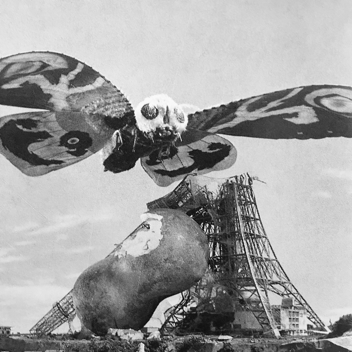 The Tiny Beauties and Mothra: Part 2 – The Godzilla Novelization Project